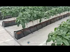 Hydroponics Greenhouse PP Roll Grow Troughs Vegetables Substrate Growing Trough