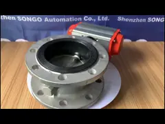 Pneumatic Actuator valve