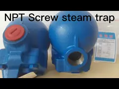Steam Trap
