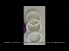 White Color PTFE Hammer Union Seal Chemical Resistant