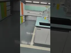 China Customizable Chemistry  Lab Furniture Laboratory Furniture Hong Kong Easy To Install And Tailor-Made for sale