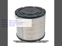 Cina Filtro aria generatore 1403550 AH8742 SL8655 SA16687 in vendita