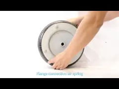 W01-R58-4061 Firestone Air Bags Springs Single Convolution 12