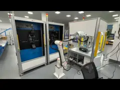 Cina Macchina di ispezione automatica flessibile con alimentazione robotizzata per O-ring di grandi dimensioni in vendita