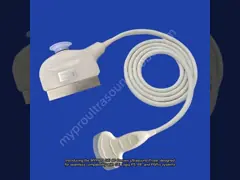 China GE Ultrasound Probe Transducer GE 4C Convex Probe For Logiq P5 Logiq P6 Logiq P6Pro for sale