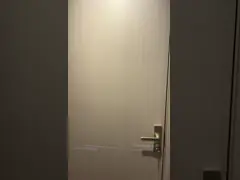 Porta vuota in WPC resistente all' impatto senza formaldeide con superficie di grano di legno