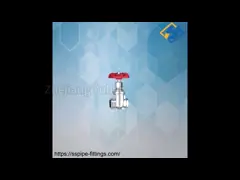 ASTM BS DIN ISO JIS Stainless Steel Gate Valve Z15 Gate Valve