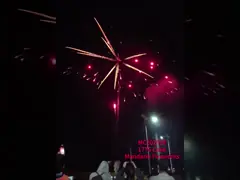Wholesales Mandarin Fireworks Pyrotechnics 177 Shots Consumer Big Cake Fireworks New Fireworks