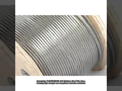 China 316 Stainless Steel 2mm Nylon Coated Wire Rope - High Strength Corrosion Resistant Cable for Industrial Use for sale
