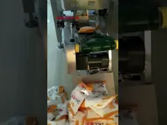 Film Type Automatic Powder Filling Machine 70L 1000-6000g 5-12 Bags/Min