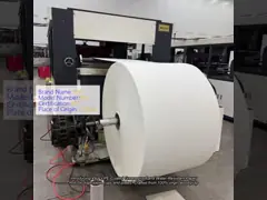 Greaseproof and Water Resistant PE Coated Paper Roll for Disposable Cups and Plates