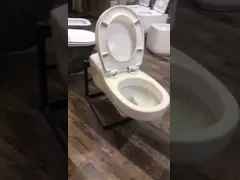 Cina Servizi igienici in ceramica per disabili Servizi igienici per disabili WC appeso a parete per disabili in vendita