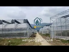 China High Yield Farming Polycarbonate Greenhouse Fruit And Vegetable Greenhouse for sale