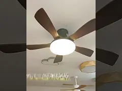 Modern Led Ceiling Fans