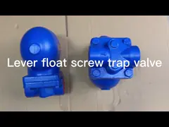 Steam Trap