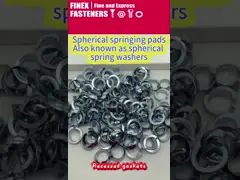 China DIN 6908 Stainless Steel Knurling Conical Spring Washers with Salt Spray Endurance Test and 10 Inspection Processes for sale