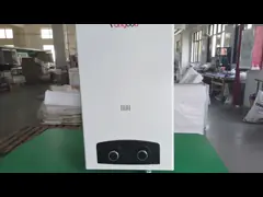 Home Use Instant Gas Water Heater 6L to 12L Wholesale Factory Direct
