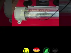 T8 Liner Anti-Corrosion Stainless Steel Grp Explosion Proof Fluorescent Lamp Single Tube