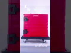 China 120L LLDPE Insulated Pan Carrier Red Insulated Food Pan Customized for sale