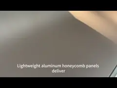 China Lightweight and Strong Honeycomb Panel for Building Projects for sale