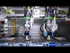 Synchronized Position Dual-Valve Vision Dispensing Machine for FPC