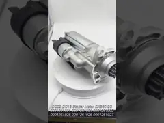 0001261001 0001261002 0001241001 Starter Motor 24V 12T 5.5KW Excavator