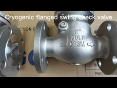 SONGO Cryogenic Flange CHeck Valve -196 Degree Low Temperature SS304 CF8M For LN2 LO2