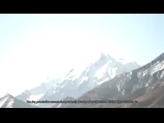 China PTZ Outdoor Camera 20x Optical Zoom , Suppression Pan Tilt Zoom Camera IP66 for sale