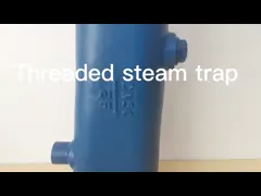 Steam Trap
