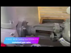 Motorized Actuator Valve