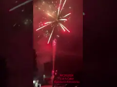 Liuyang Factory 116 Shots Fireworks Wholesale Pyrotechnics Chinese Outdoor Cake Fireworks