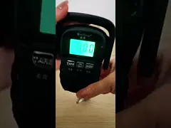 China LCD Display Hanging Scale Mini Digital Hand Carbon Steel Digital Balance Fish Scale for Fishing Luggage for sale