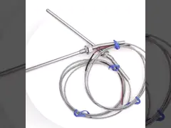 Sensore di temperatura a filo fisso a 3 fili PT100 PT1000 Termistore per misurazioni accurate