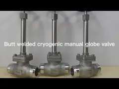 cryogenic SW manual globe valve