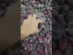 China High Brix Berries Fruits IQF Frozen Blackberry for Juice Jam Topping for sale