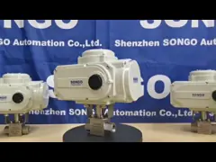 Motorized Actuator Valve