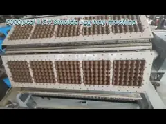 China Durable Paper Egg Tray Machine Pulp Molded Tray Production Line / Egg Tray Molding Machine for sale