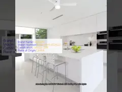 Cina Ventilatori da soffitto a LED da 52 pollici con luci Telecomando Luce da soffitto con ventilatore per casa e hotel in vendita