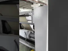Fruit Packaging Bag Servo Flexographic Printing Machine