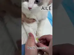 China ISO Certificate Disposable IV Cannula Intravenous Injection Needle Veterinary Catheter Butterfly Type IV Cannula for sale