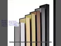 Hair Catcher Black Floor Drain Cover Linear Tile Inserts Modern Smart Floor Drain Balcony Stainless 304