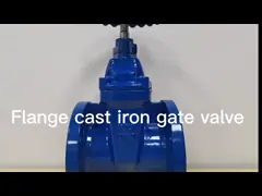 SOGNO Cast Iron Gate Valve Handwheel Soft Sealing Non-Rising Stem  125LB GGG50 Gate Valve
