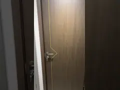 China Sustainable Eco-Friendly WPC Hollow Door For Green And Healthy Living Environment for sale