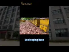 Professional beekeeping company