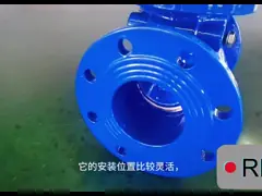 Ductile Iron Flange Check Valve Metal Valve PN16 DN100 One-Way Valve