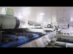 Βαθμολογώντας μηχανή 16 γεωργίας κάστανων ευφυής κανάλια για τη μεγάλη περιεκτικότητα