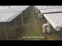 China NFT Hydroponic Channel Indoor Hydroponic Grow System For Leafy Vegetables for sale