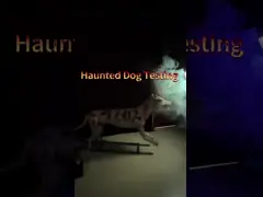 Halloween Animal Model Haunted House Custom Escape Room Props Pneumatic Control