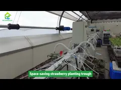 Fioriera per piantare fragole