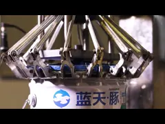 Vidéo de l‘usine Lantiden